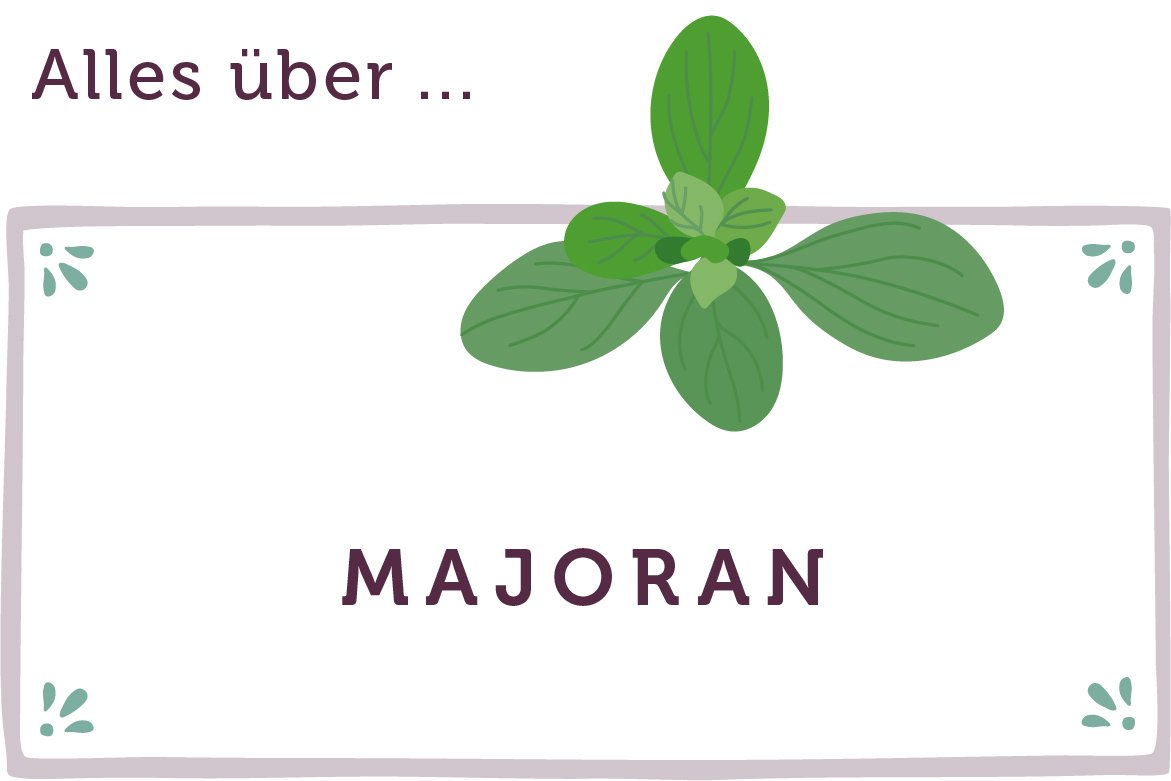 Alles über Majoran - Saison und Infos - emmikochteinfach