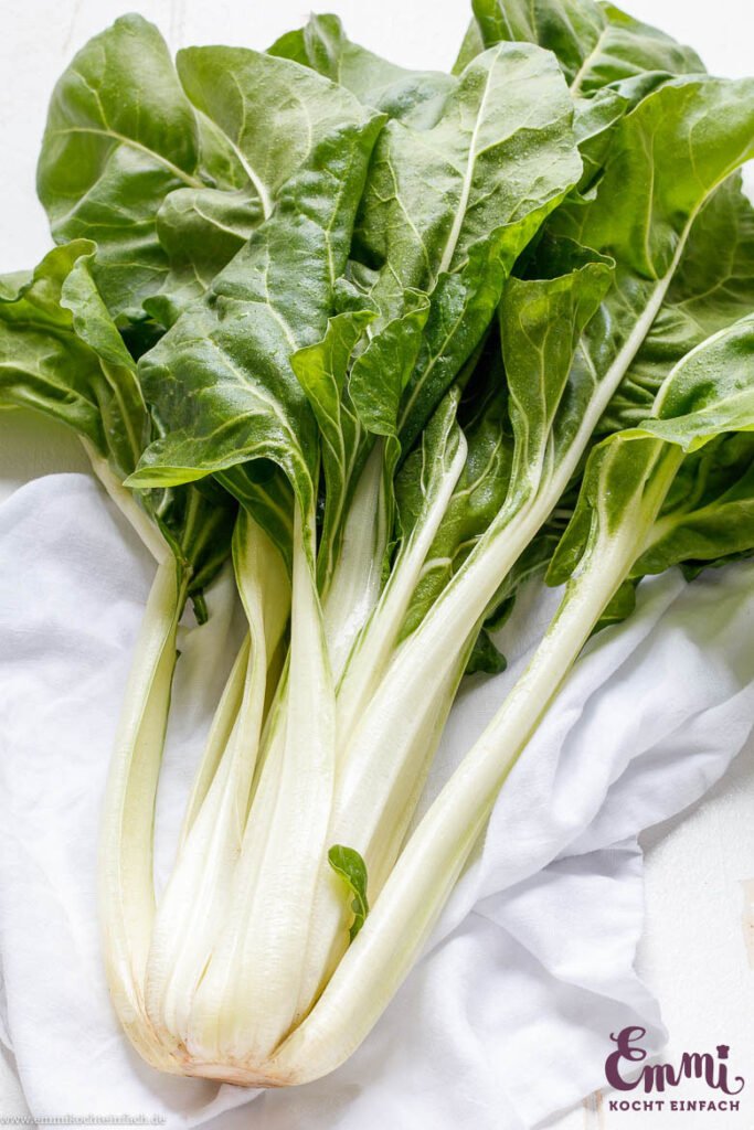 Alles über Mangold - Saison und Infos - emmikochteinfach